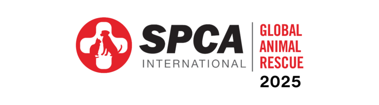 Microchipped Pets are THREE TIMES More Likely to Get Home - HASS